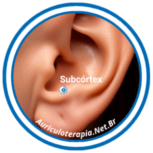 5 Pontos Que Acalmam a Mente - Auriculoterapia.Net.Br