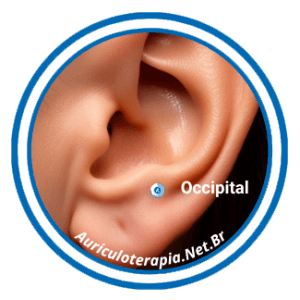 5 Pontos Que Acalmam a Mente - Auriculoterapia.Net.Br